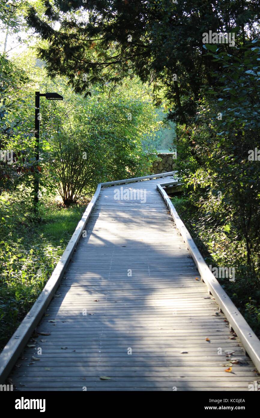 A beautiful pathway with a bridge going over water in a national ...