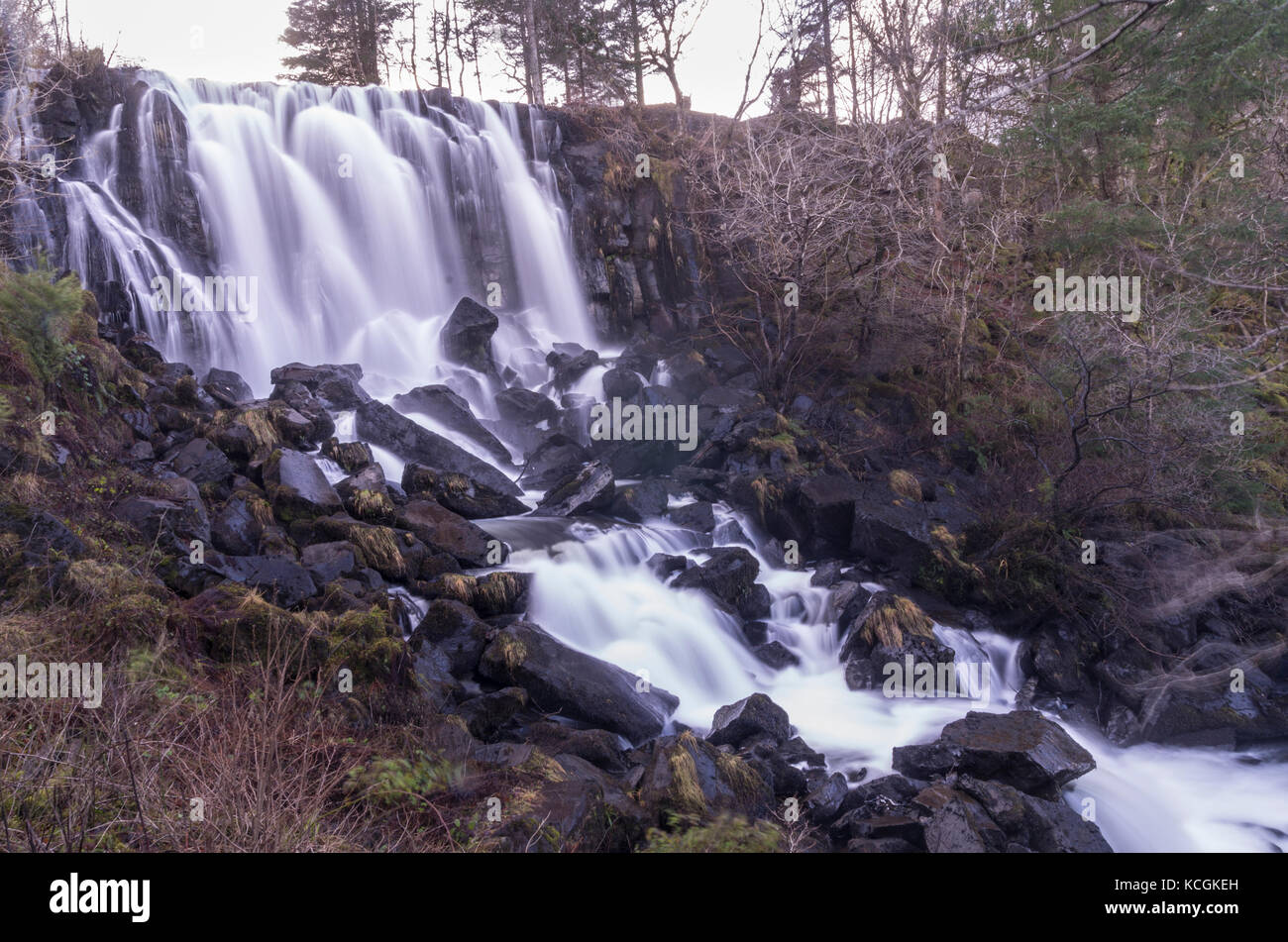 Aros park isle mull scotland hi-res stock photography and images - Alamy
