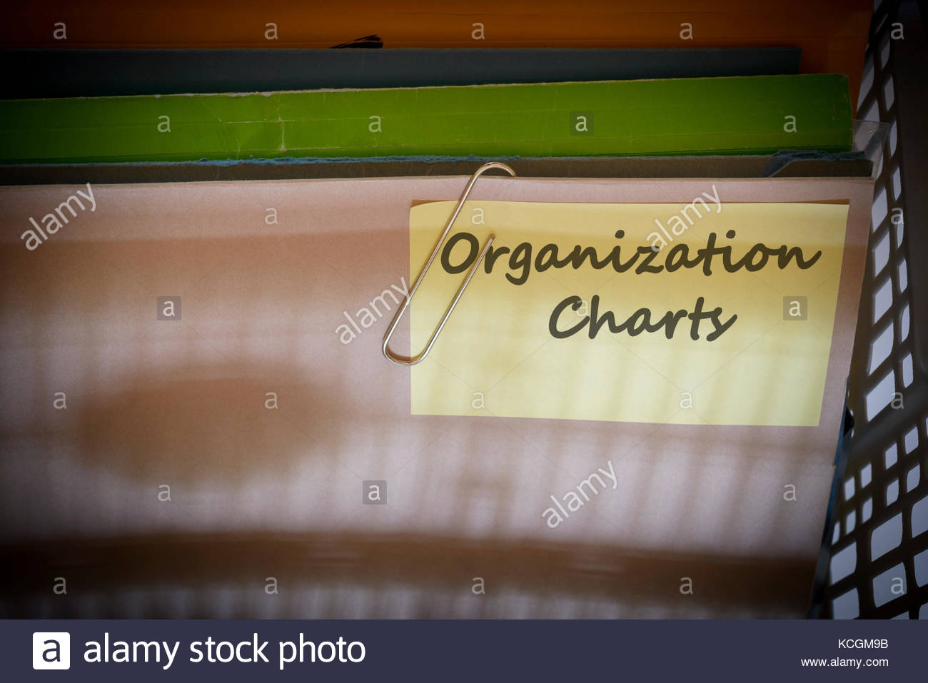 Organogram High Resolution Stock Photography and Images - Alamy