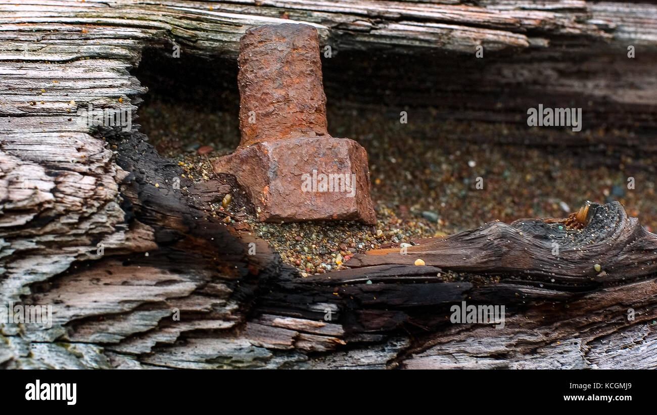 Rusted bolt and nut worn threads embedded in a wooden plank with sand ...