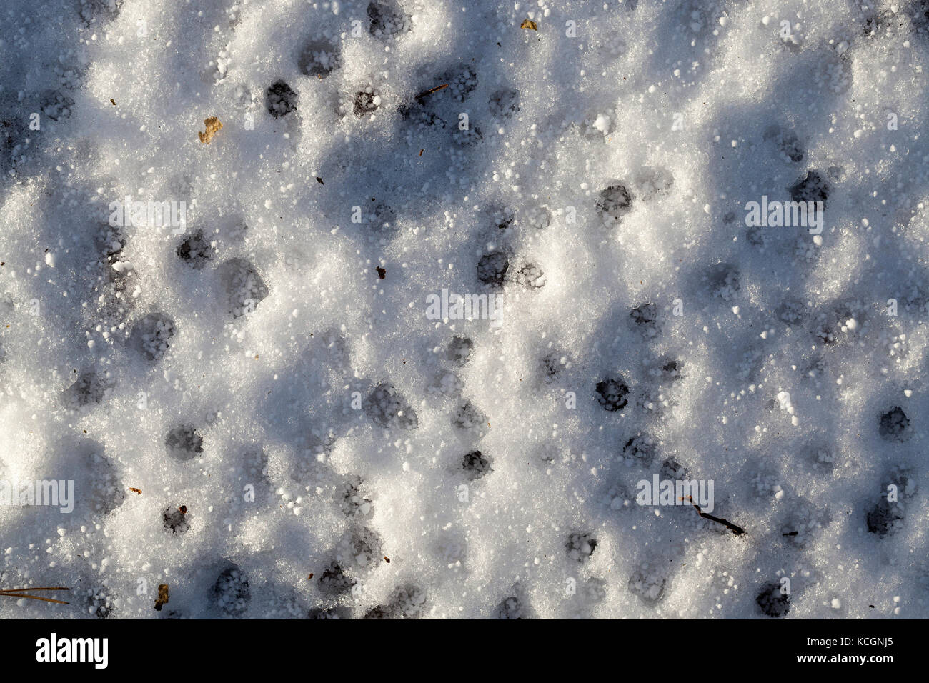 snow lying in snowdrifts after the last snowfall. Photo in the winter ...