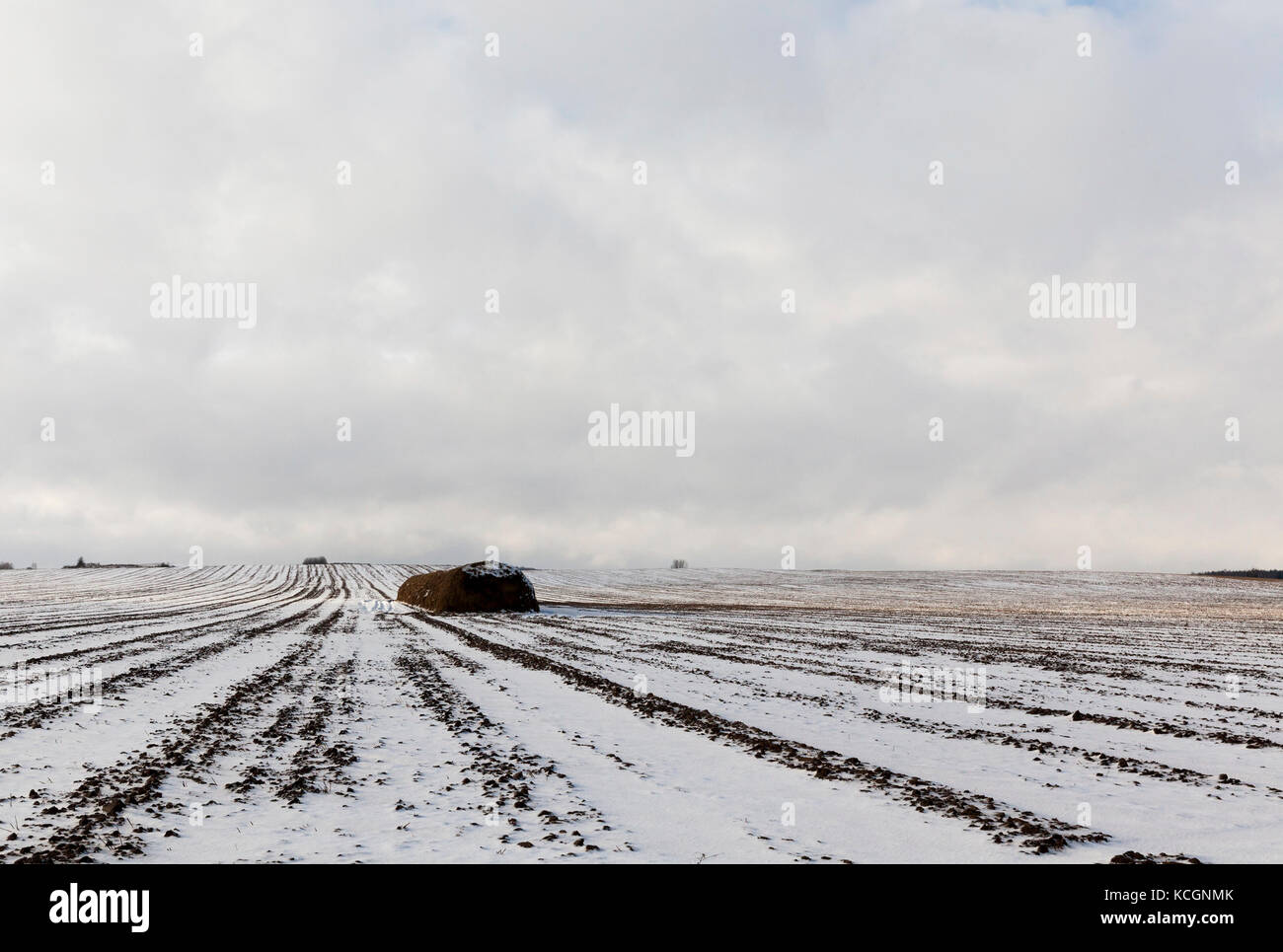 snow photographed in the winter season, which appeared after a snowfall ...
