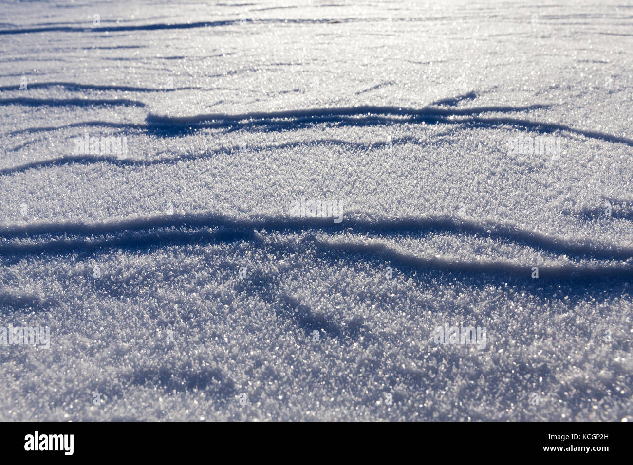 snow photographed in the winter season, which appeared after a snowfall ...