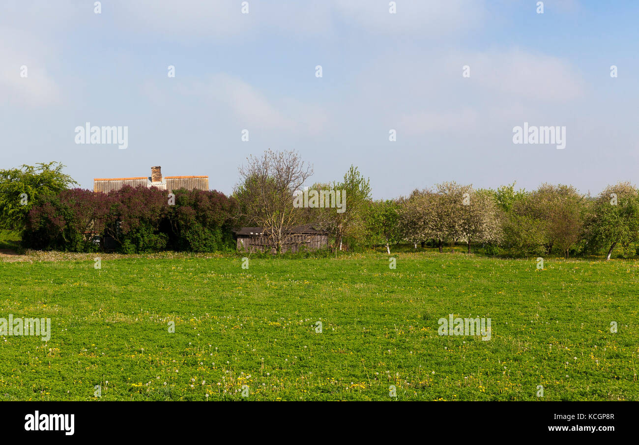 A farm built in the woods near the field. Visible part of buildings ...