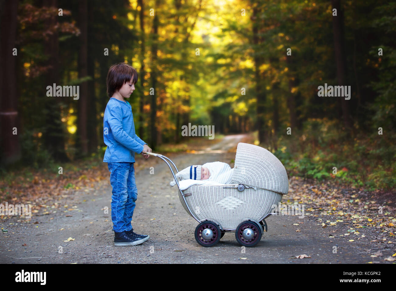 Sweet preschool boy pushing his little newborn baby boy, sleeping in ...