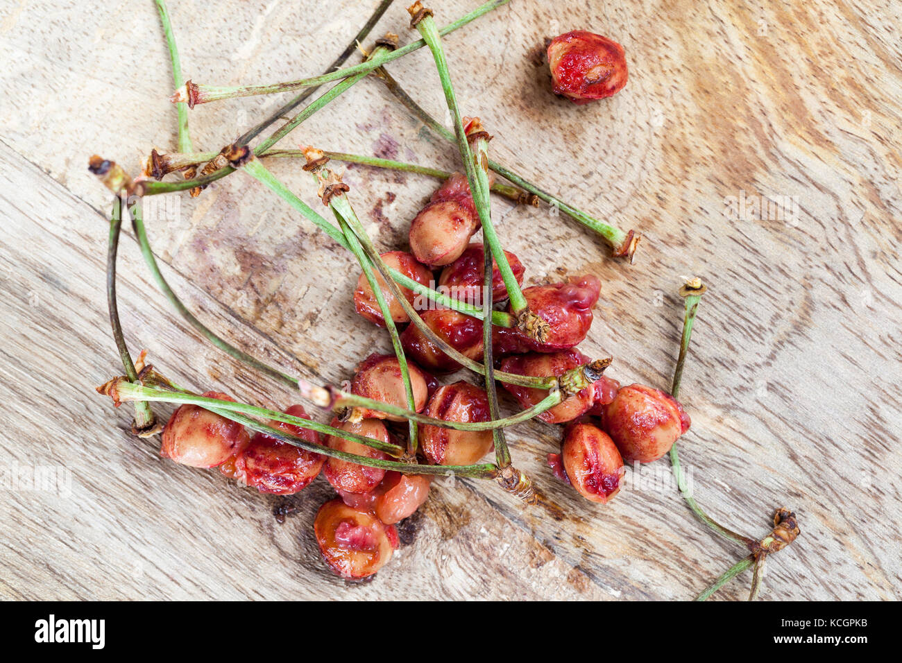 Thin green tails bones with the remains of pulp eaten red cherries ...