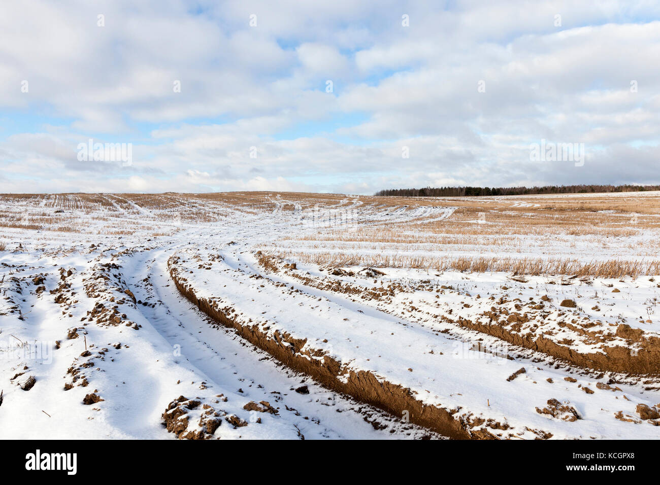 tracks in the snow driven by cars in the winter season. Photo is made ...