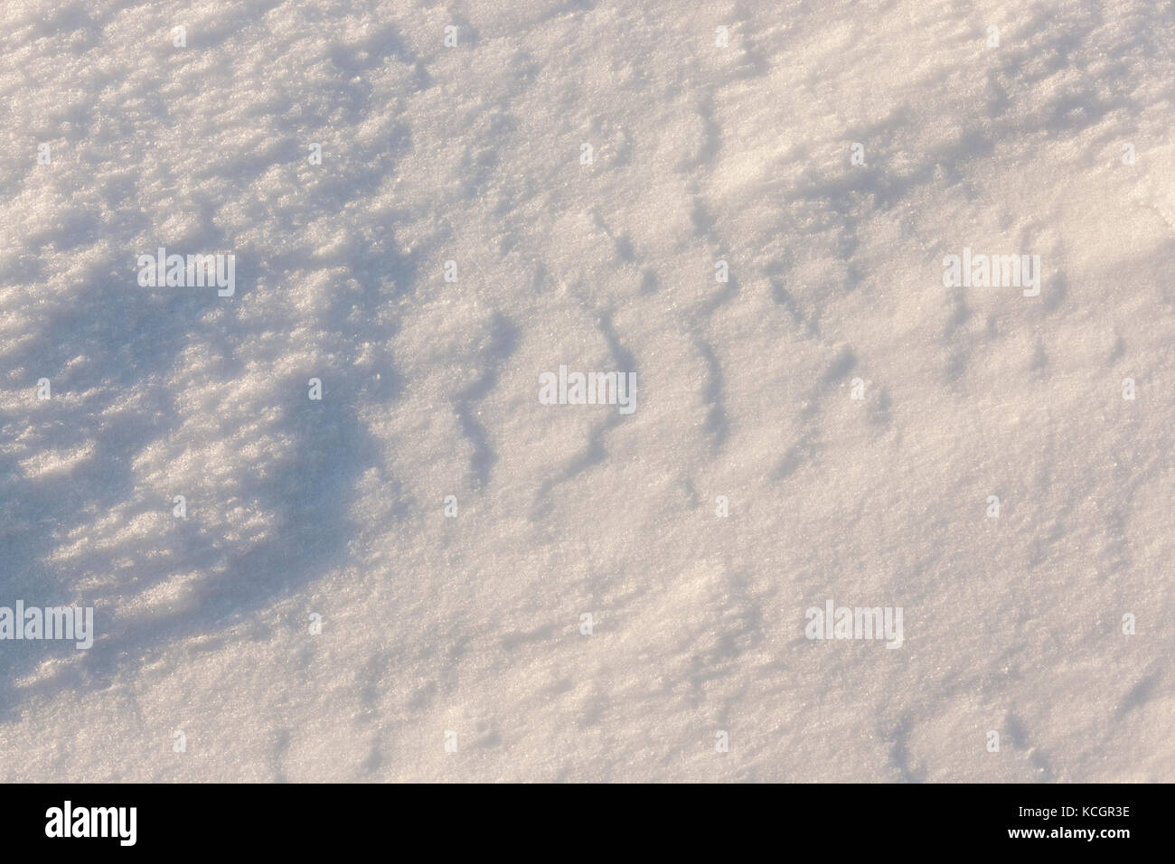 snow photographed in the winter season, which appeared after a snowfall ...