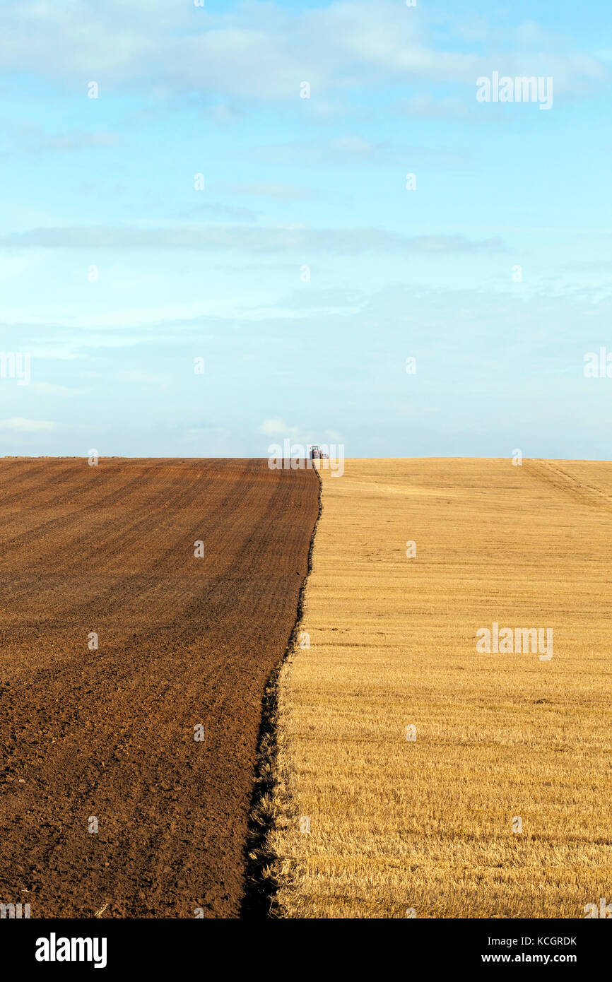 The field is divided into two halves. on the left side of the plowed ...