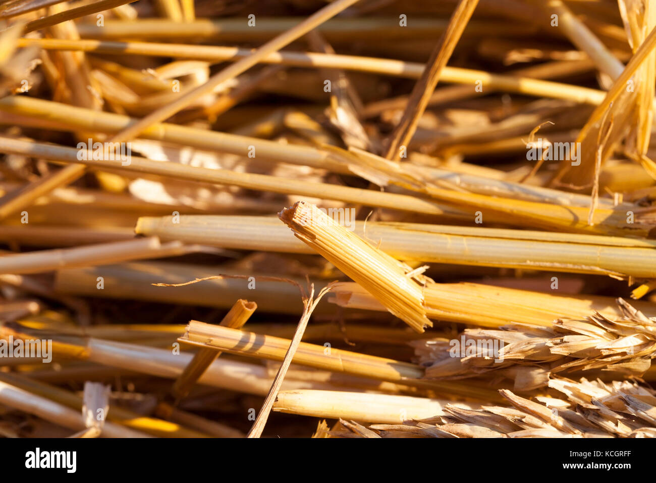 Close up straw soil on hi-res stock photography and images - Alamy