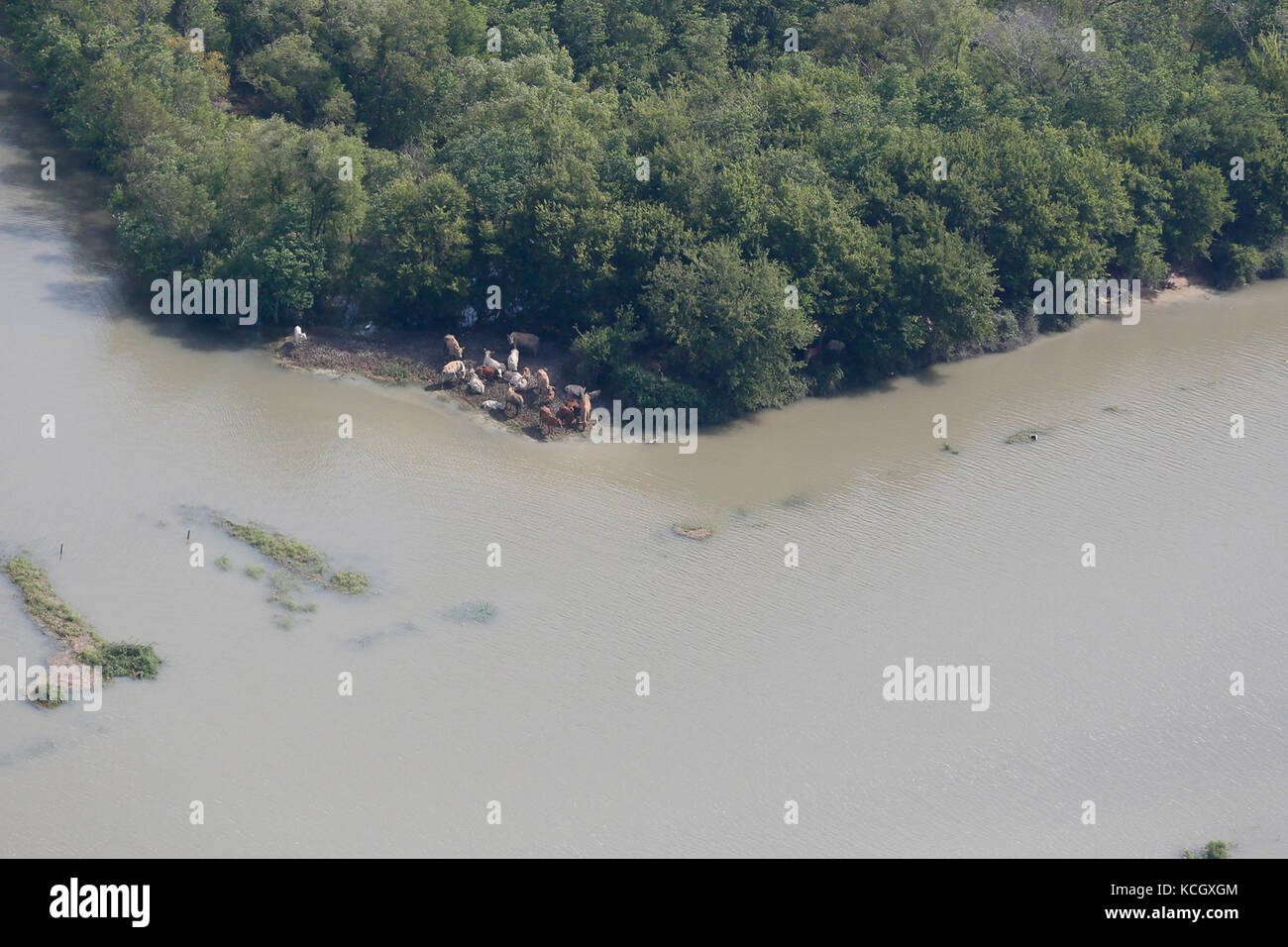 Members of the South Carolina's Helicopter Aquatic Rescue Team (SC-HART ...