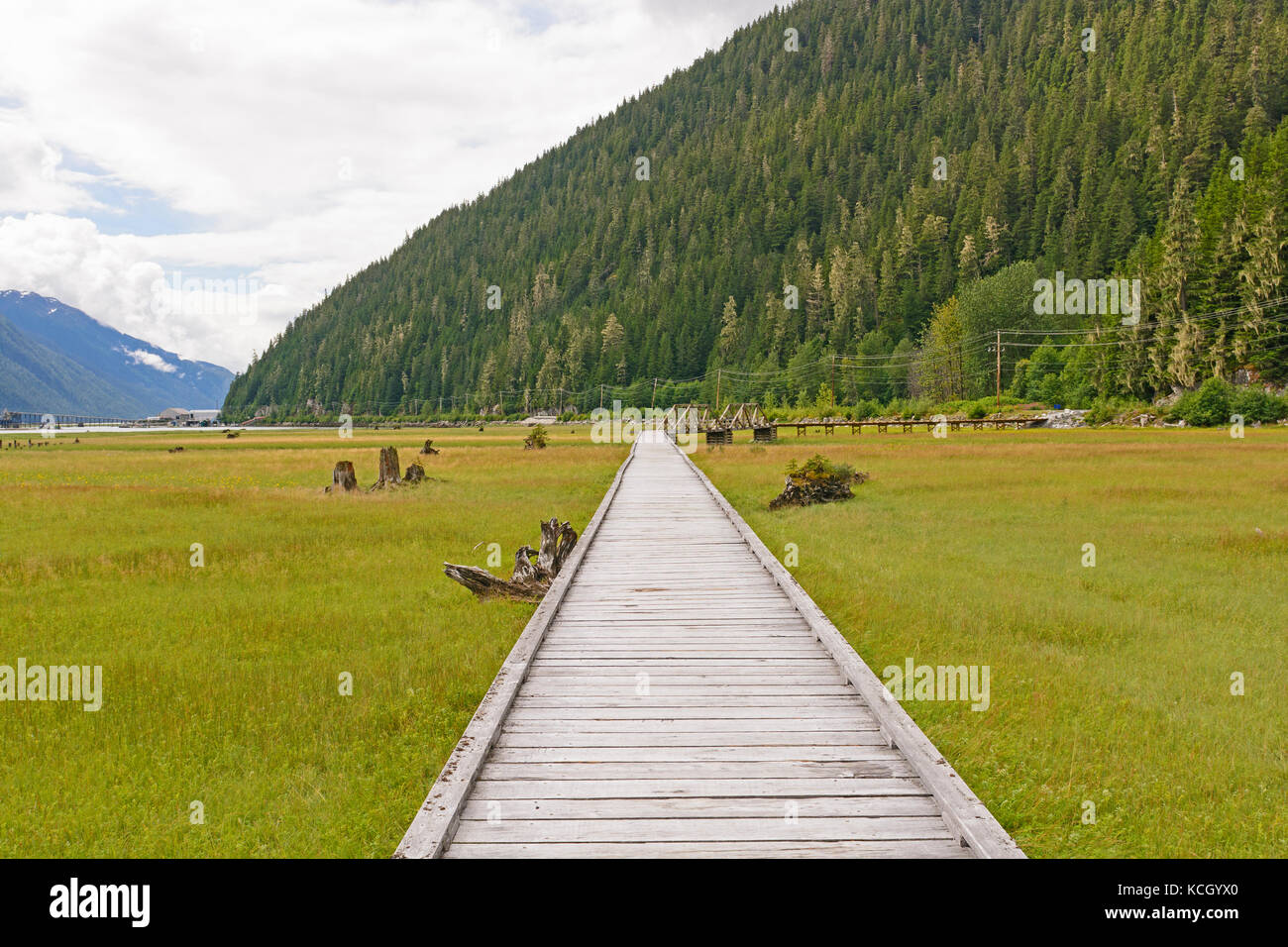 Boardwalk Through a Coastal Estuary in Stewart, British Columbia Stock ...
