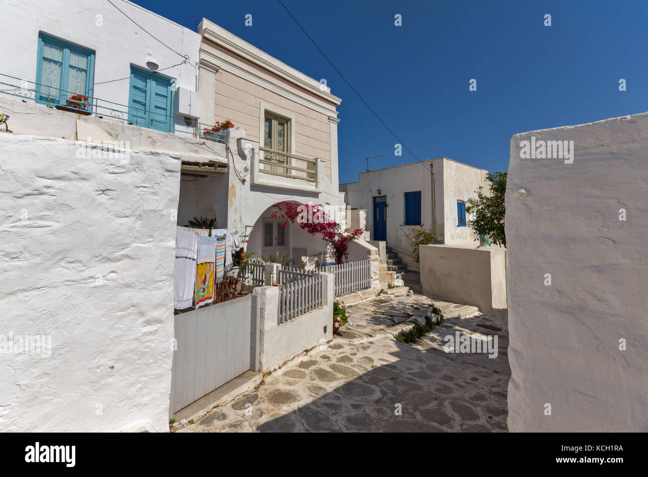 white houses with flowers in town of Parakia, Paros island, Cyclades ...