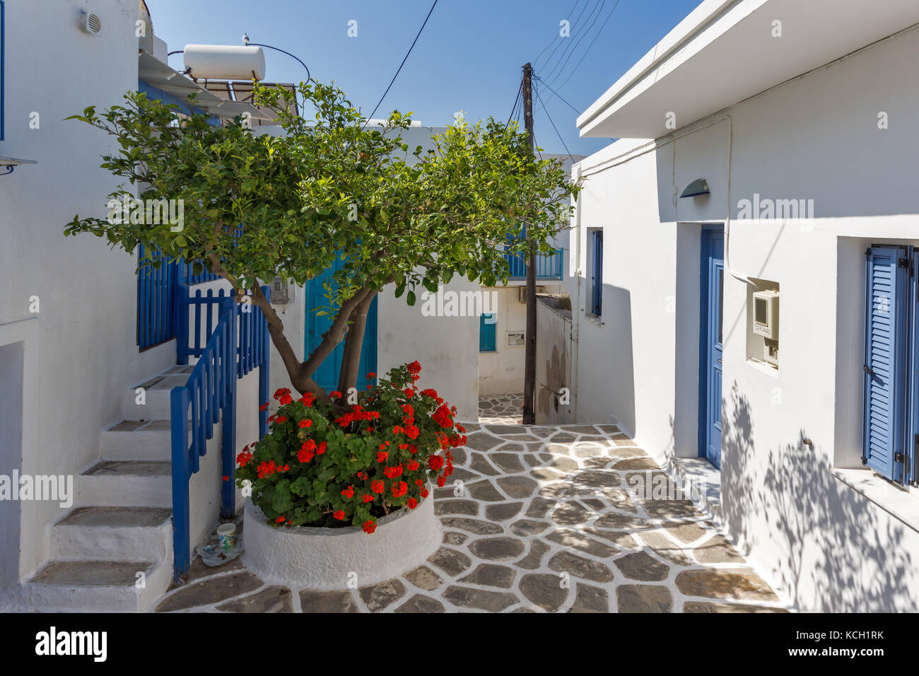 Typical street and flowers in town of Parakia, Paros island, Cyclades ...