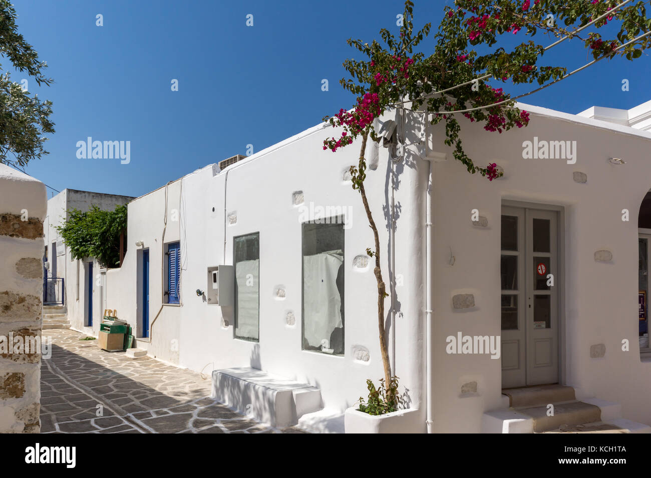 white houses with flowers in town of Parakia, Paros island, Cyclades ...