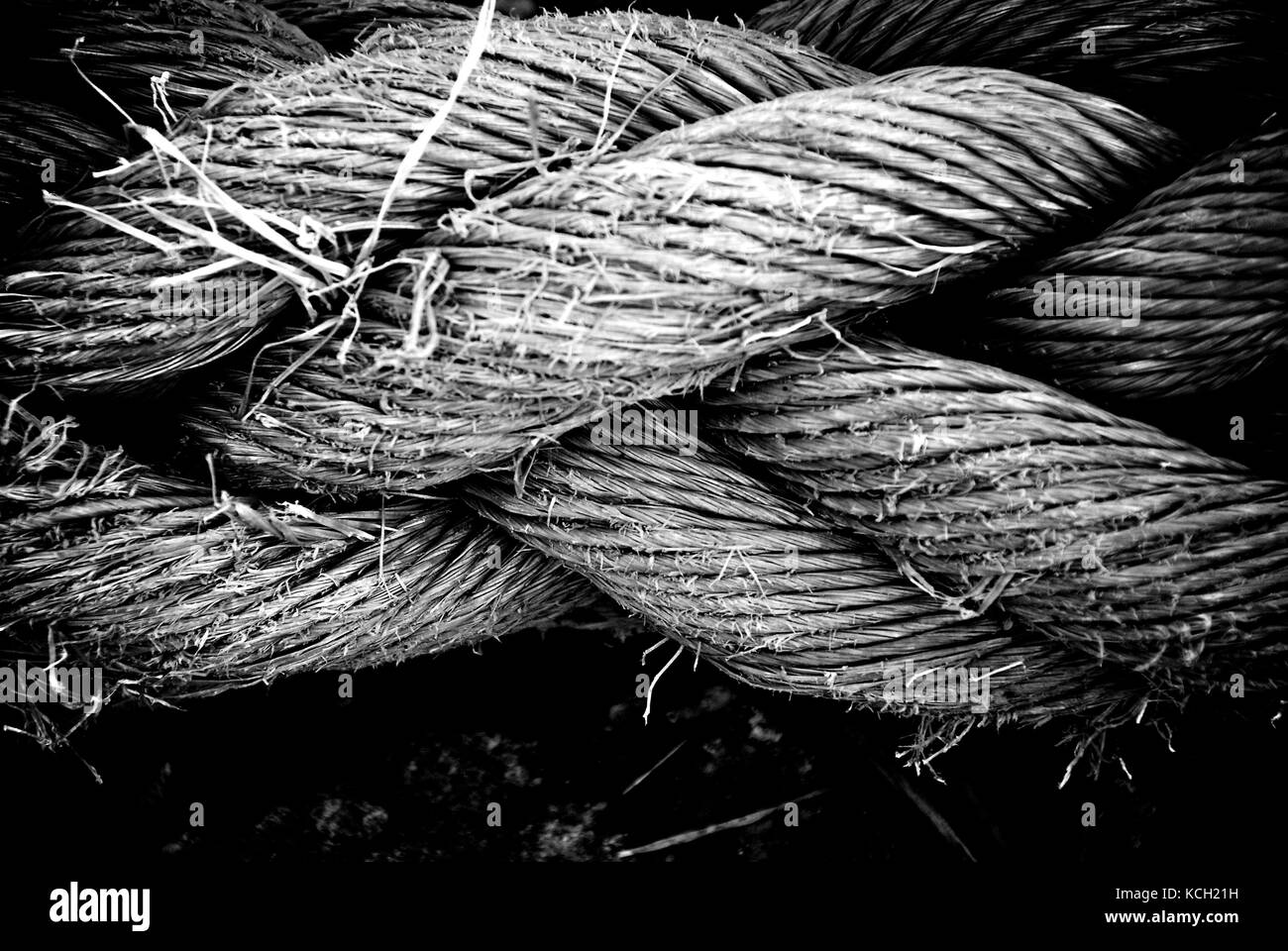 Rope Black and White Stock Photos & Images - Alamy