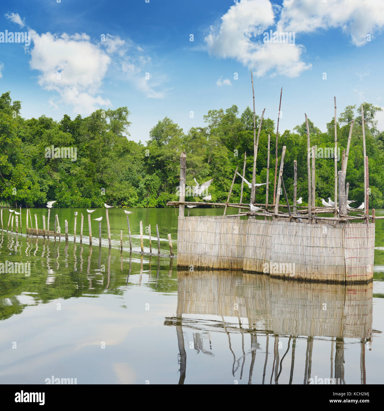 Fish fence hi-res stock photography and images - Alamy