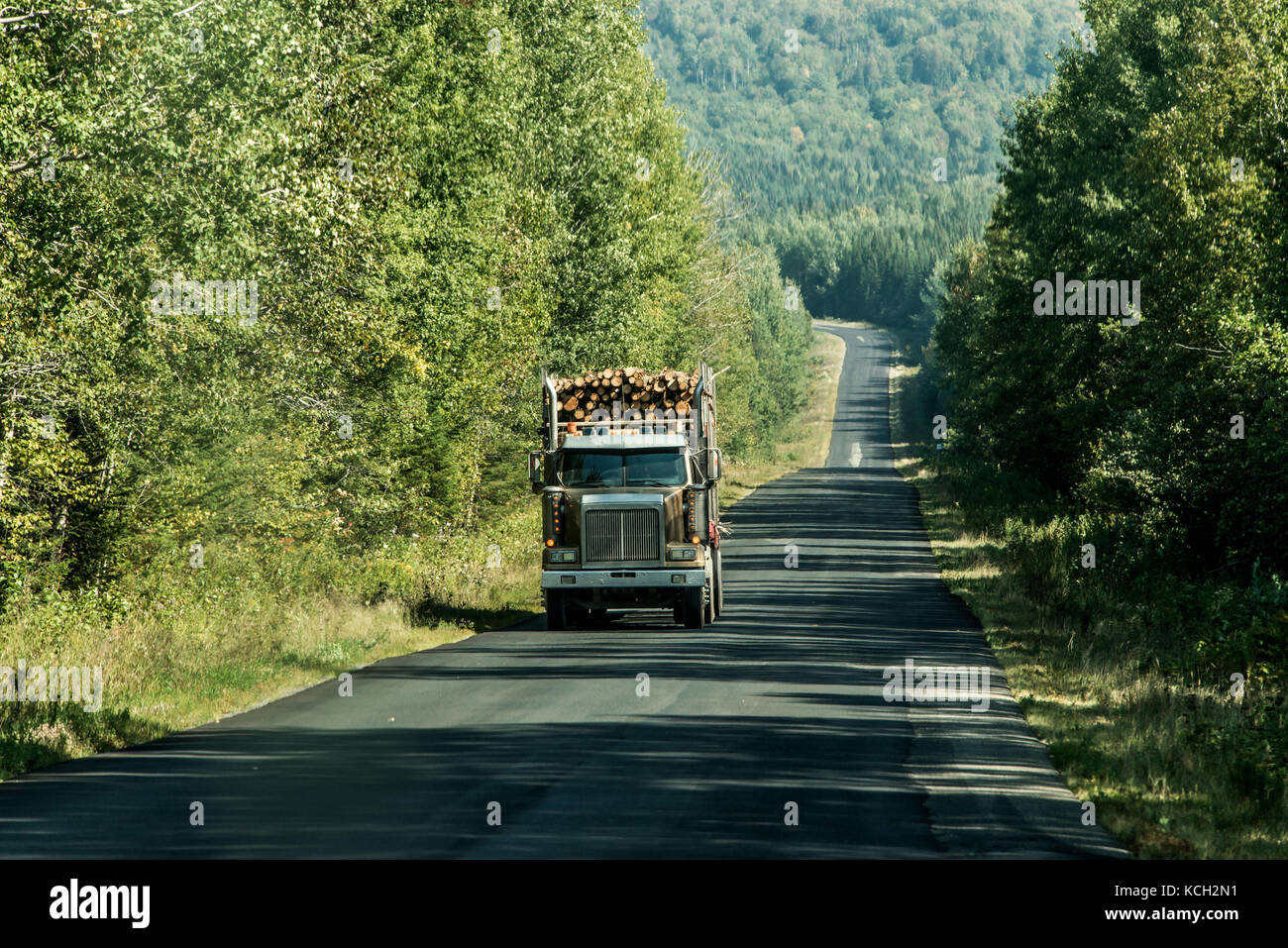 Big Logging truck moving on highway wood from harvest field plant ...