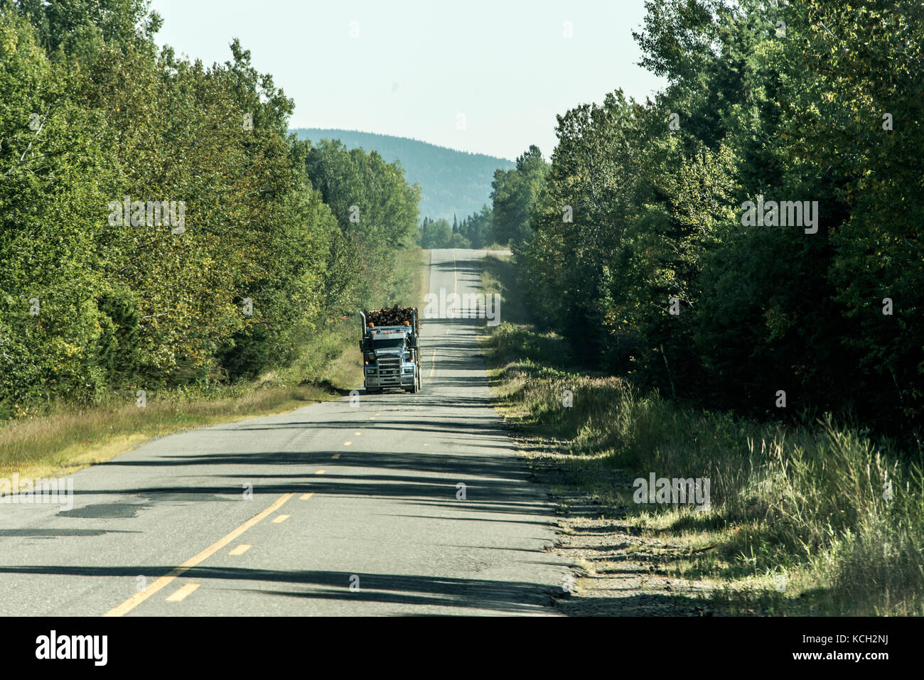 Big Logging truck moving on highway wood from harvest field plant ...