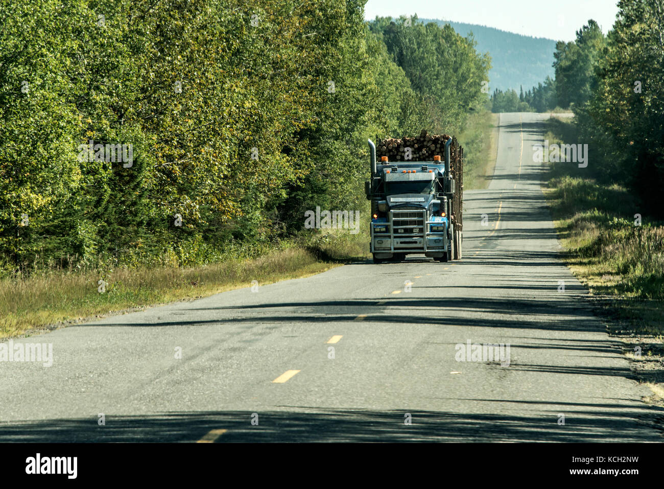 Timber logging canada quebec hi-res stock photography and images - Alamy
