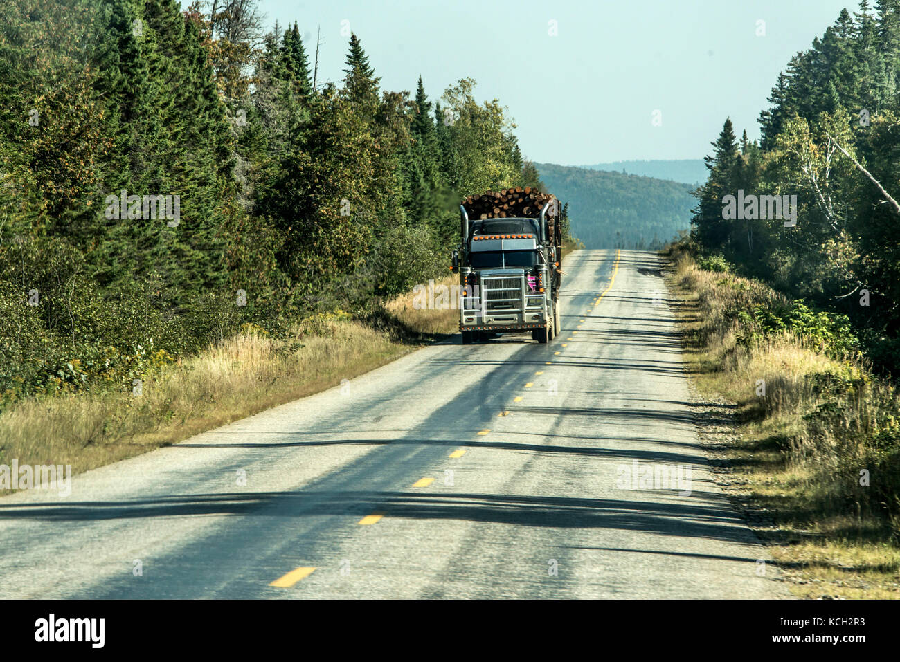 Big Logging truck moving on highway wood from harvest field plant ...