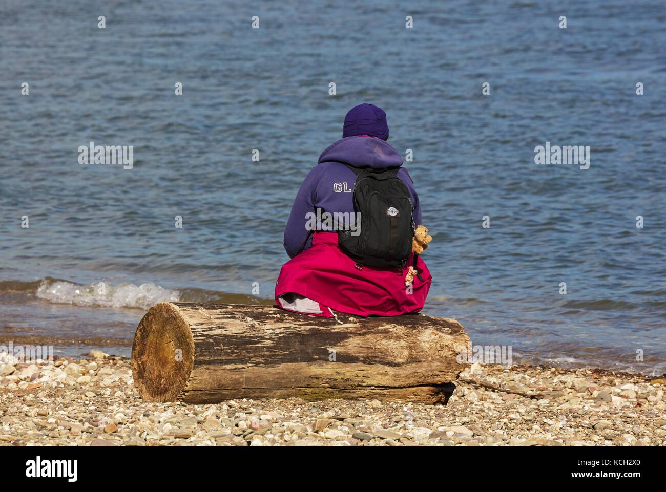 Woman sitting on flotsam tree trunk, River Rhine, near Cologne Germany ...