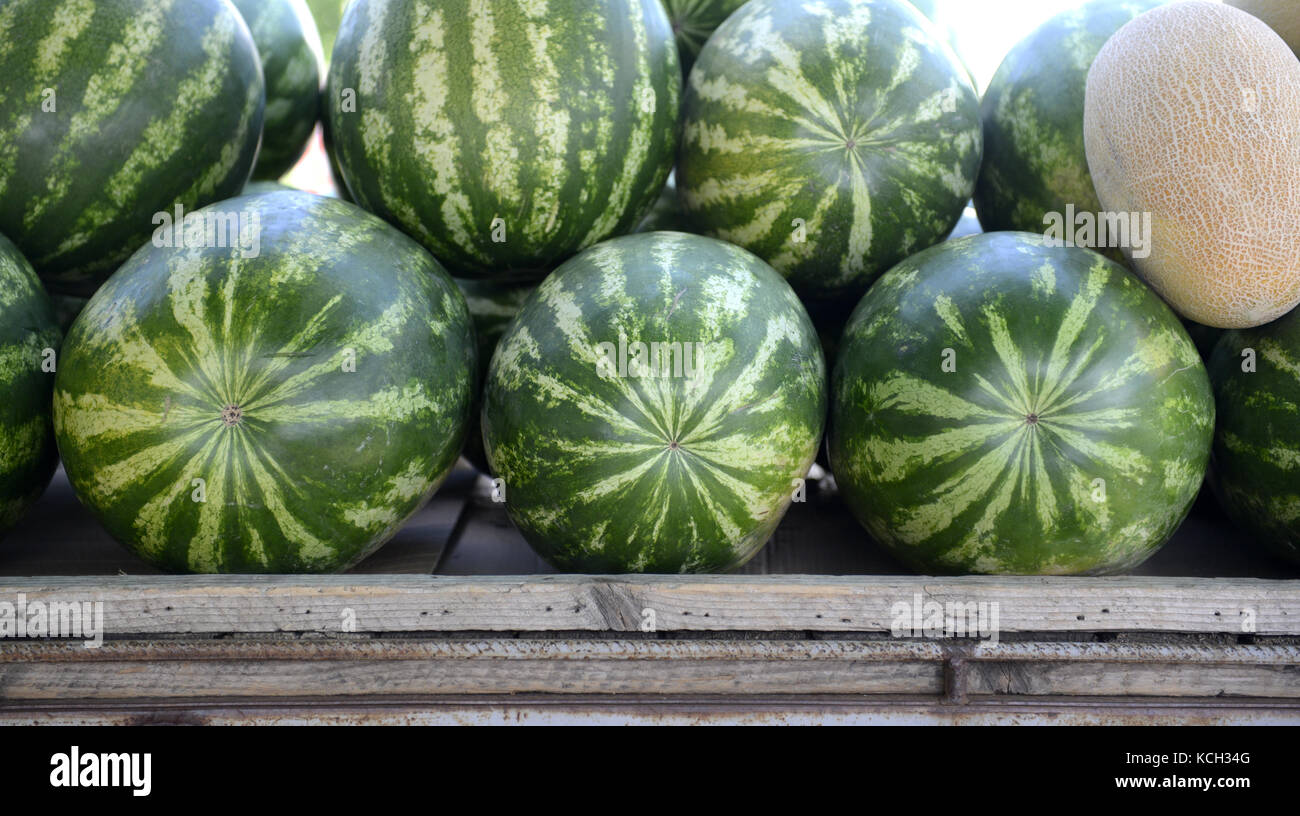 watermelons and melon for sale in a farmer market,image of a Stock ...