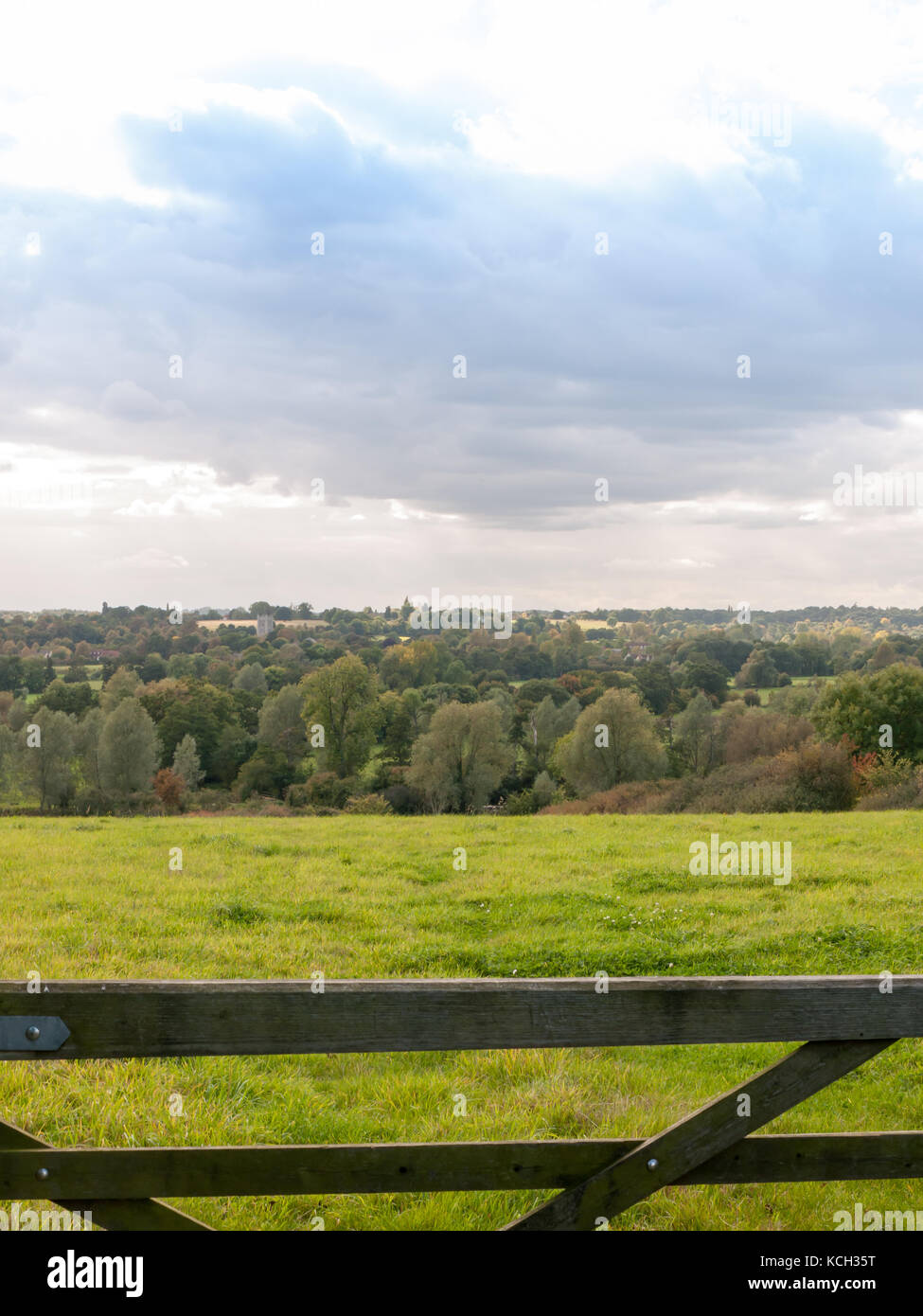countryside hill field above wooden gate with trees and sky; Essex ...