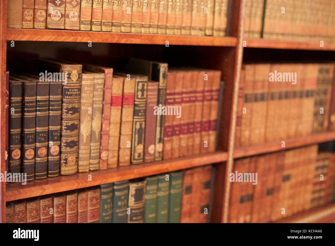 Case of books hi-res stock photography and images - Alamy