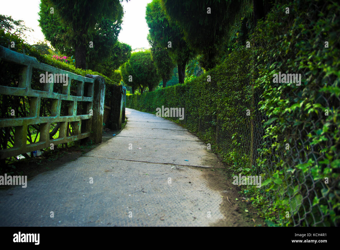 Park Walking Path Stock Photo - Alamy