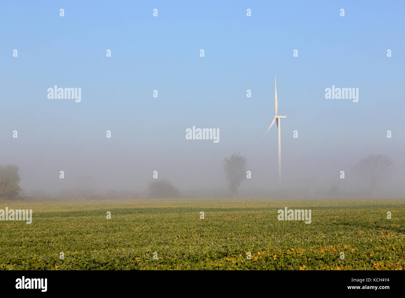 Wind turbine in foggy hi-res stock photography and images - Alamy