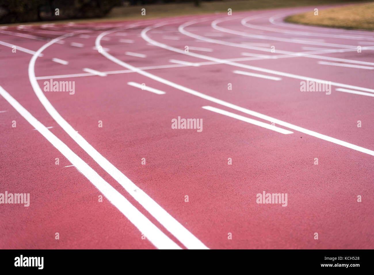 Curved lines on a running track fade into the blurred distance Stock ...
