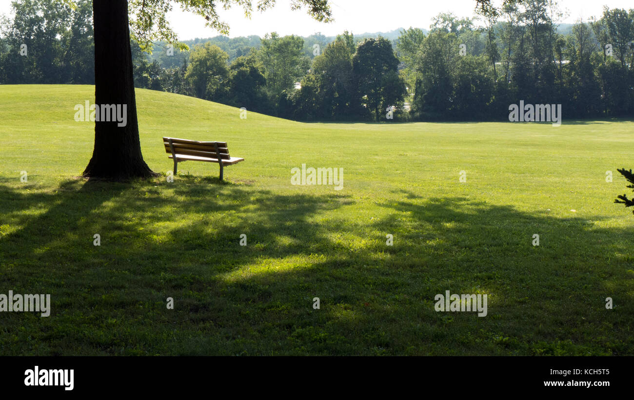 Shade tree bench hi-res stock photography and images - Alamy