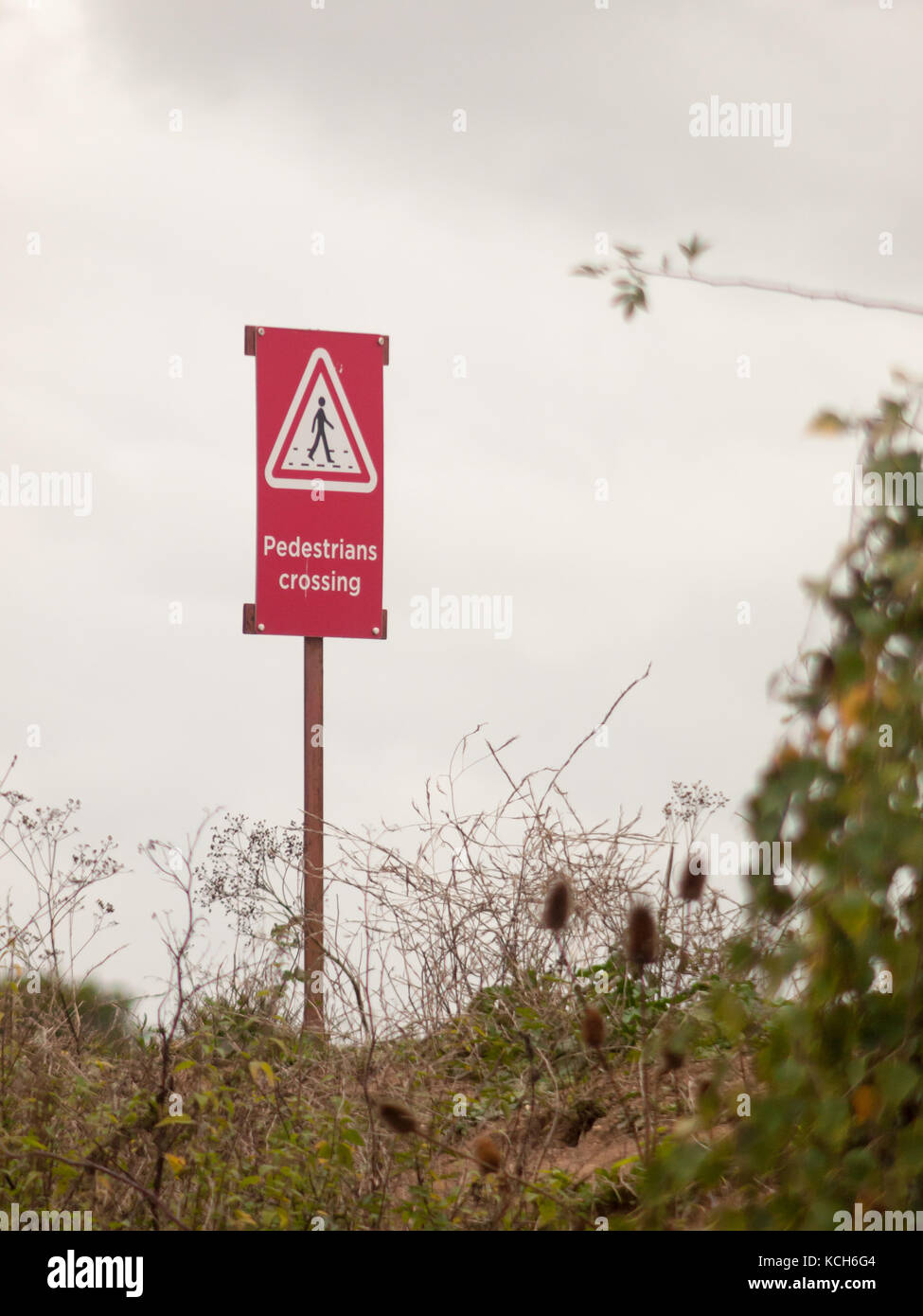 red warning sign post icon pedestrians crossing careful; essex; england ...