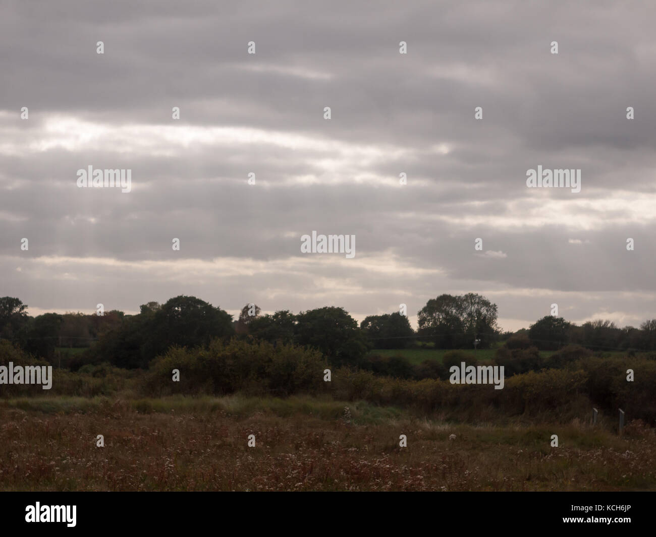 dramatic clouds over silhouette treeline above coast ; essex; england ...