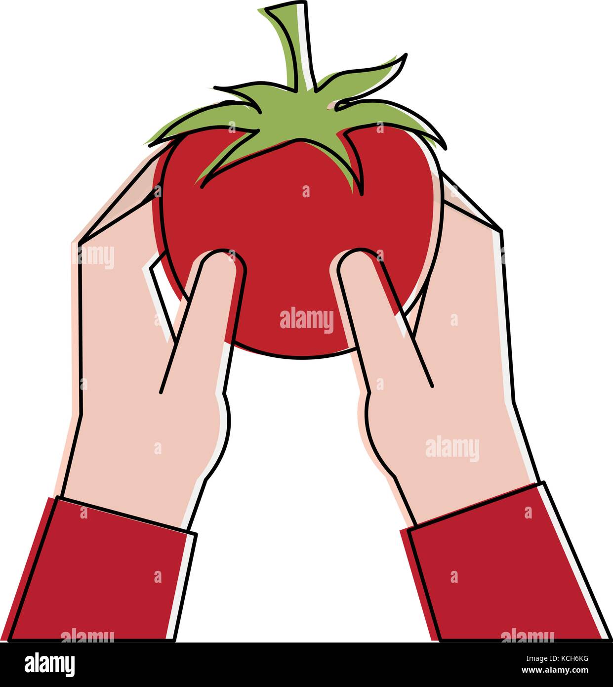 tomato fruit icon image Stock Vector Image & Art - Alamy
