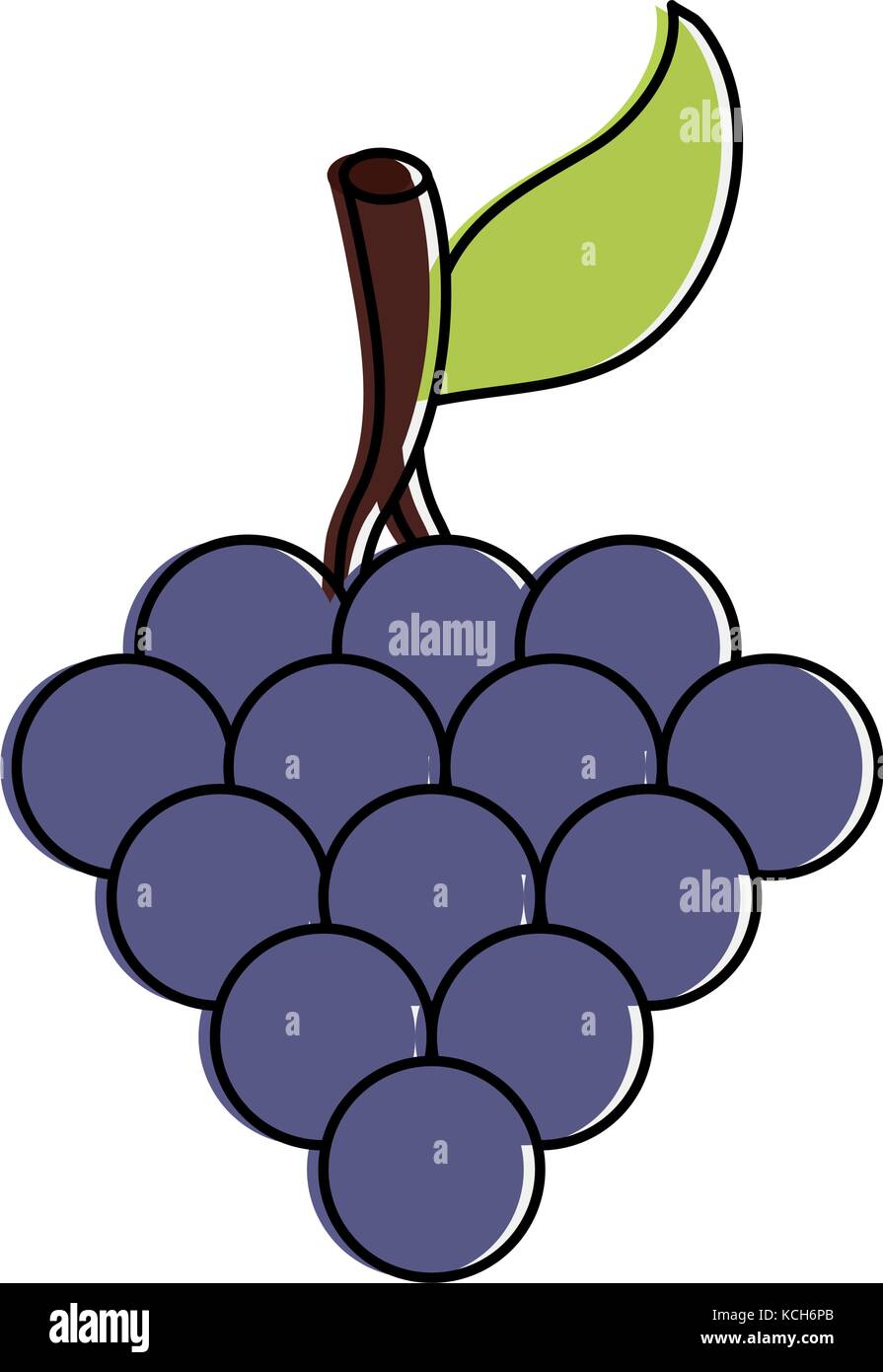 grapes bundle fruit icon image Stock Vector Image & Art - Alamy