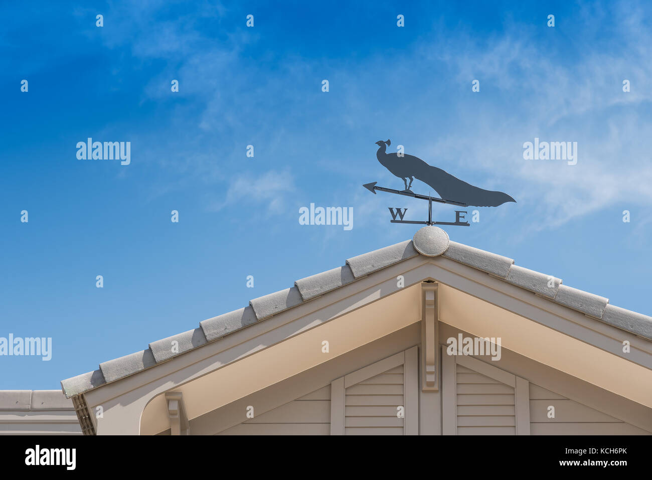 Weather vane with peacock above an arrow and the four cardinal points ...