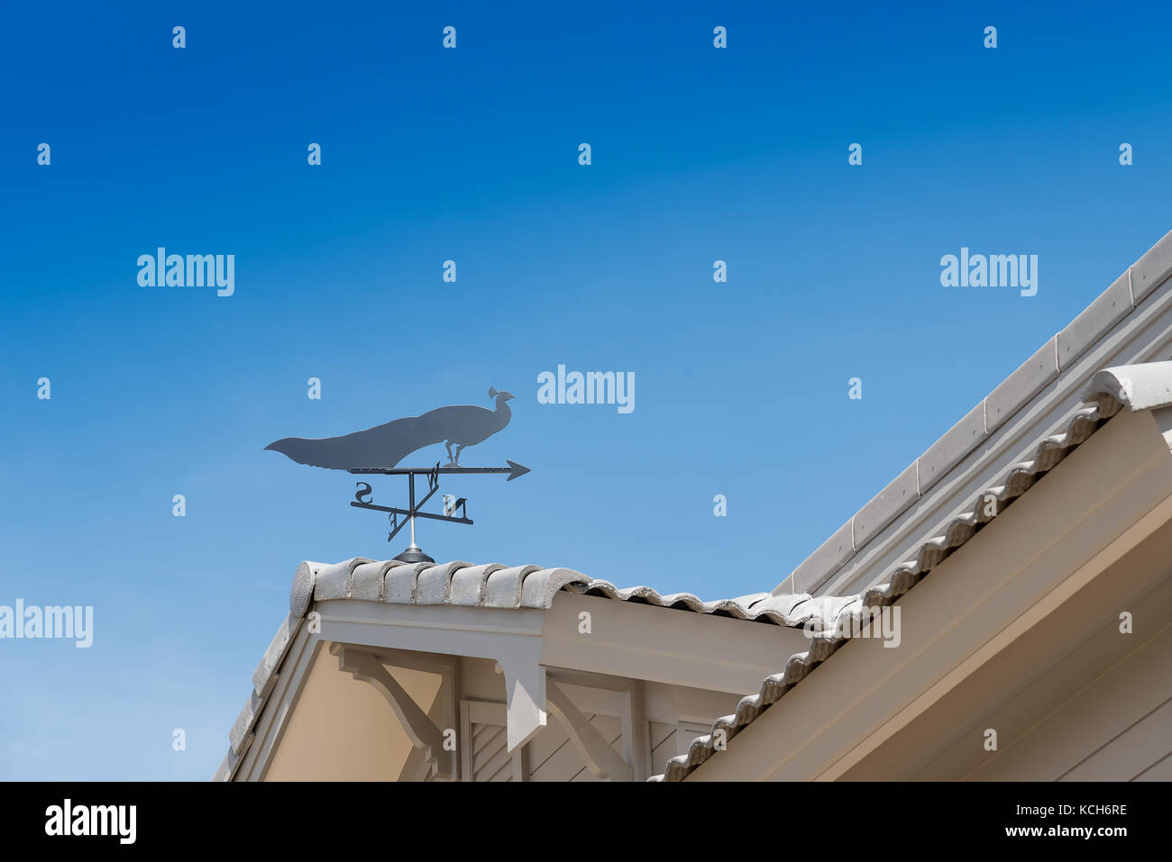 Weather vane with peacock above an arrow and the four cardinal points ...
