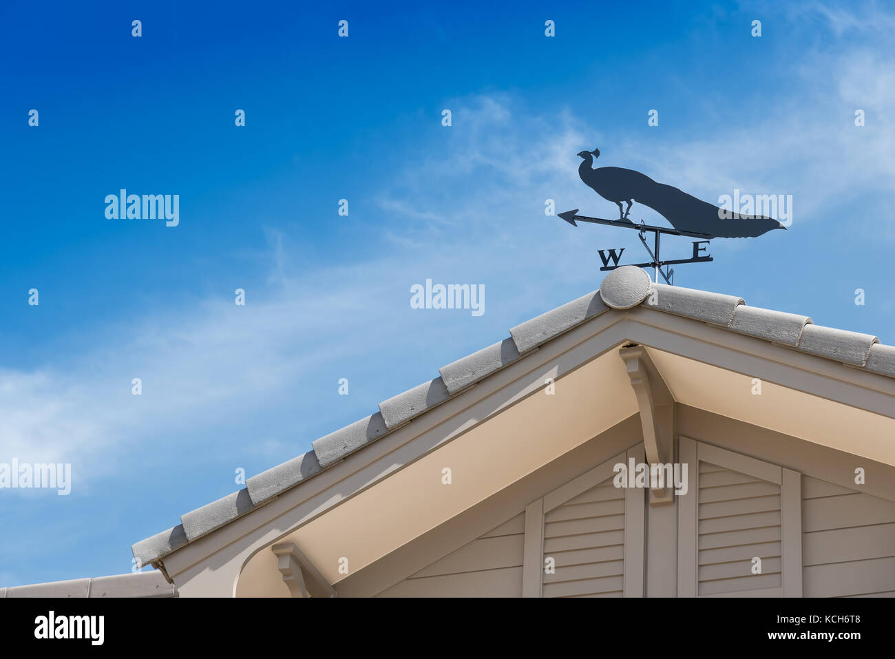 Weather vane with peacock above an arrow and the four cardinal points ...