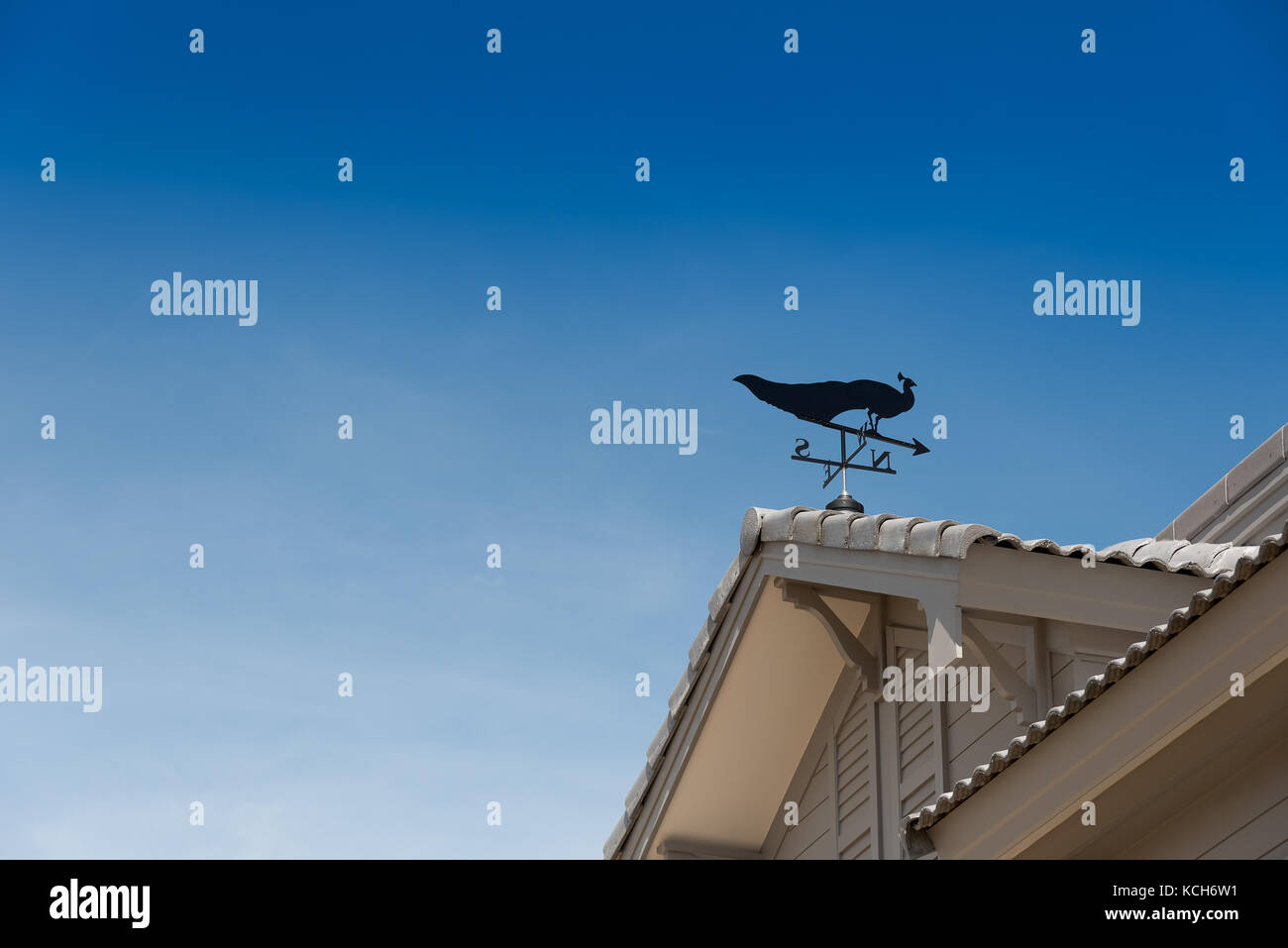 Weather vane with peacock above an arrow and the four cardinal points ...