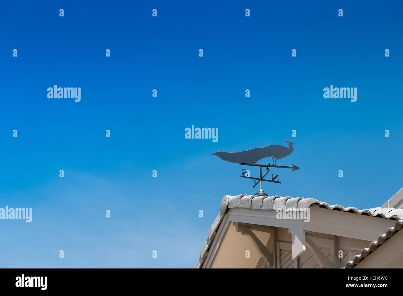 Weather vane with peacock above an arrow and the four cardinal points ...