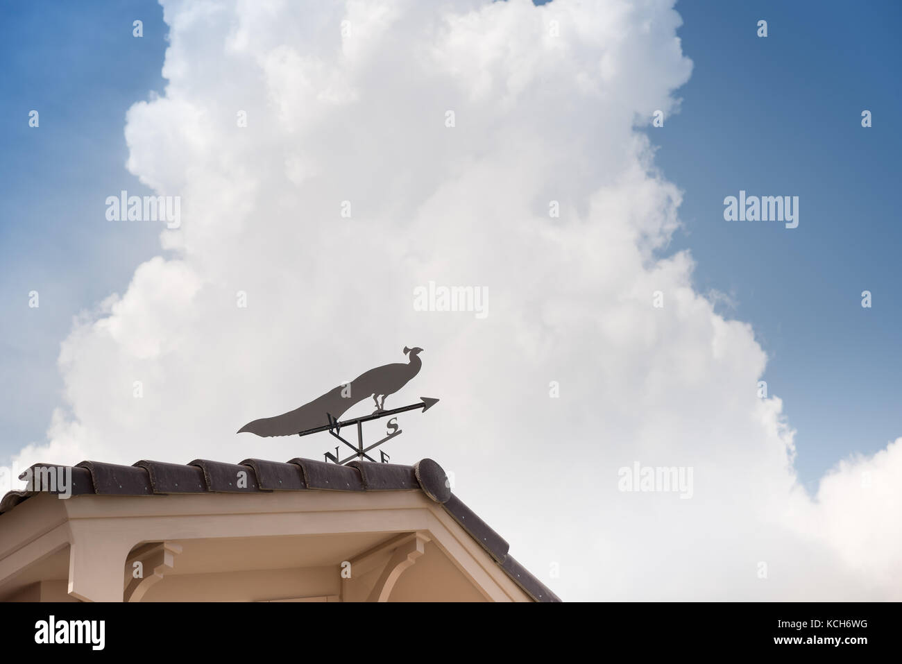 Weather vane with peacock above an arrow and the four cardinal points ...
