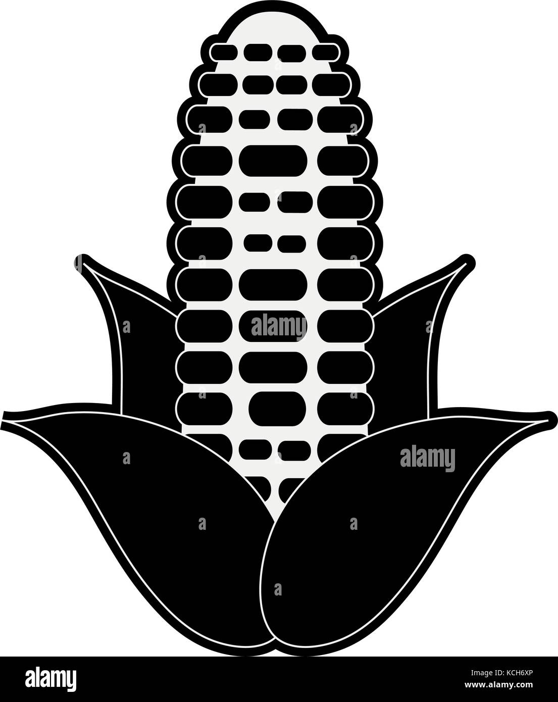 corn knob vegetable icon image Stock Vector Image & Art - Alamy