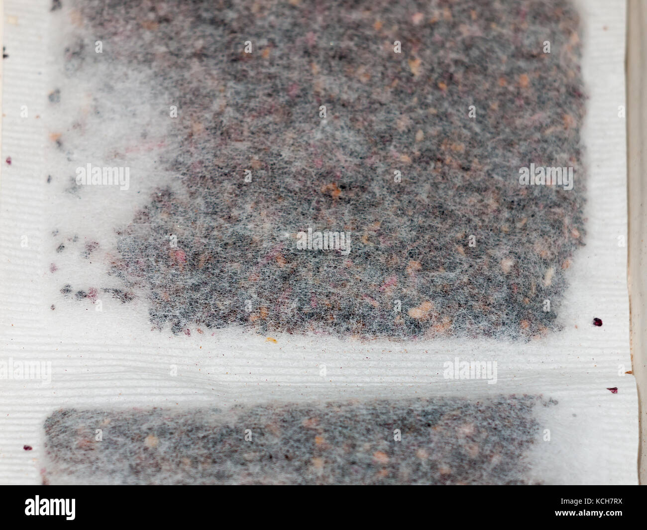 texture close up of white tea bag with herbal fruit flavour; essex ...