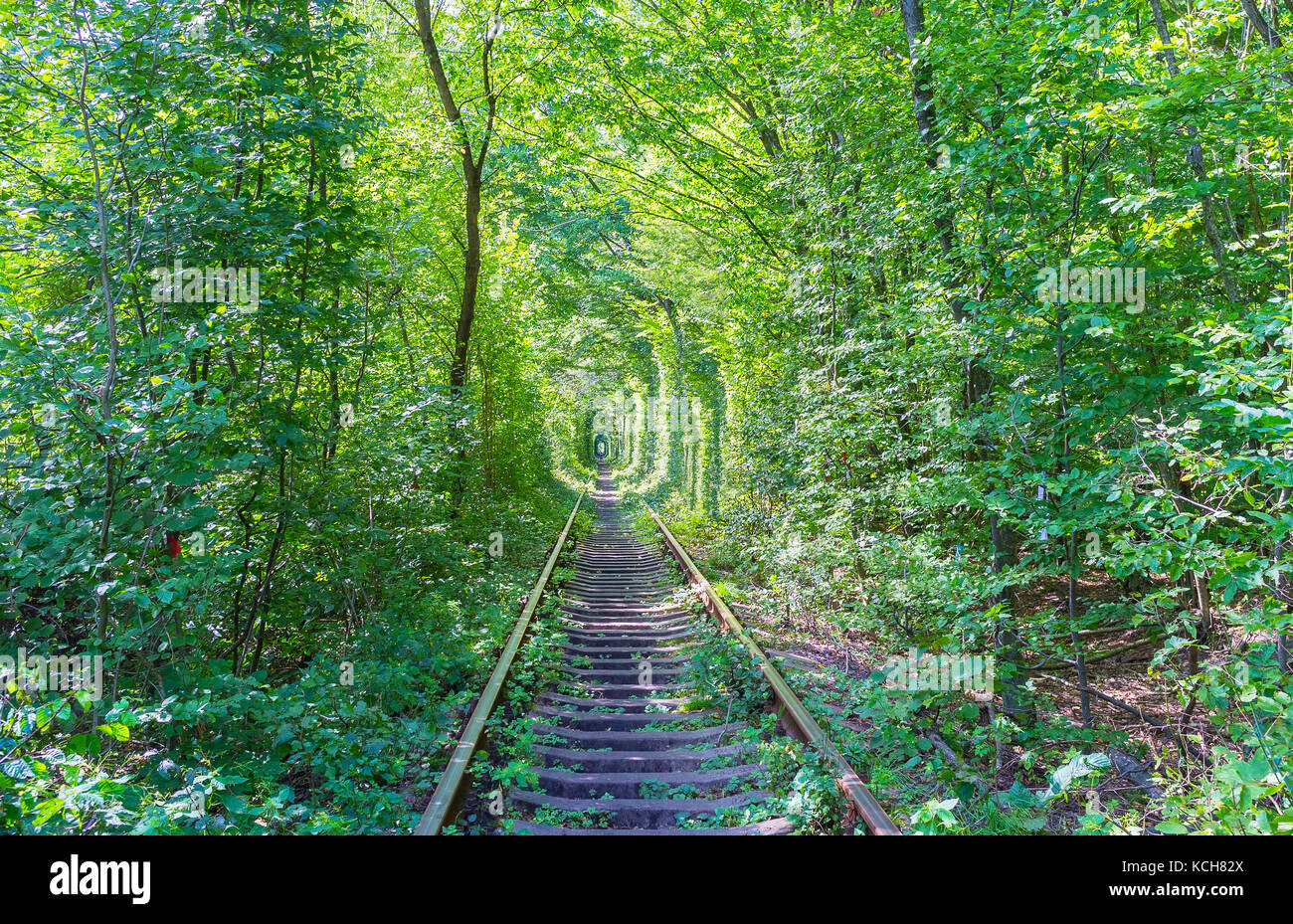 Popular tourist attraction the Tunnel of Love is the arched shapes of ...
