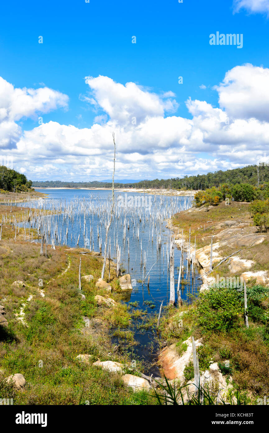 Dead trees due to flooding by the Tinaroo Falls Dam across the Barron ...