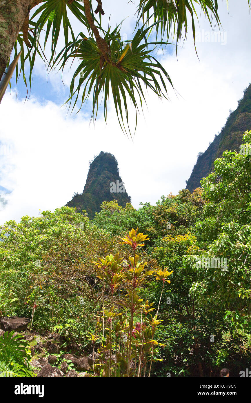 Iao valley hi-res stock photography and images - Alamy