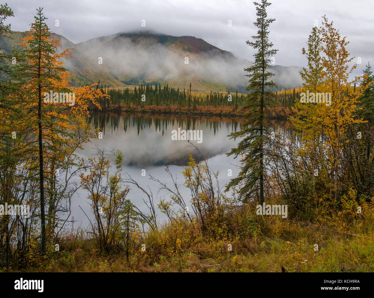 Highway 1 scenery hi-res stock photography and images - Alamy