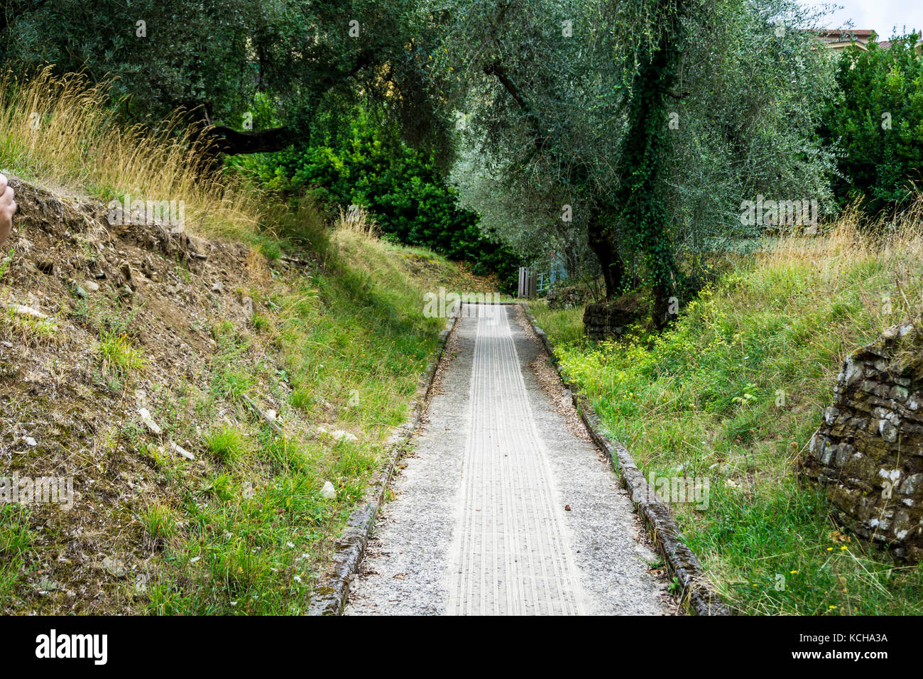 Etruscan Ruins and Roman Amphitheater in Fiesole, Florence, Tuscany ...